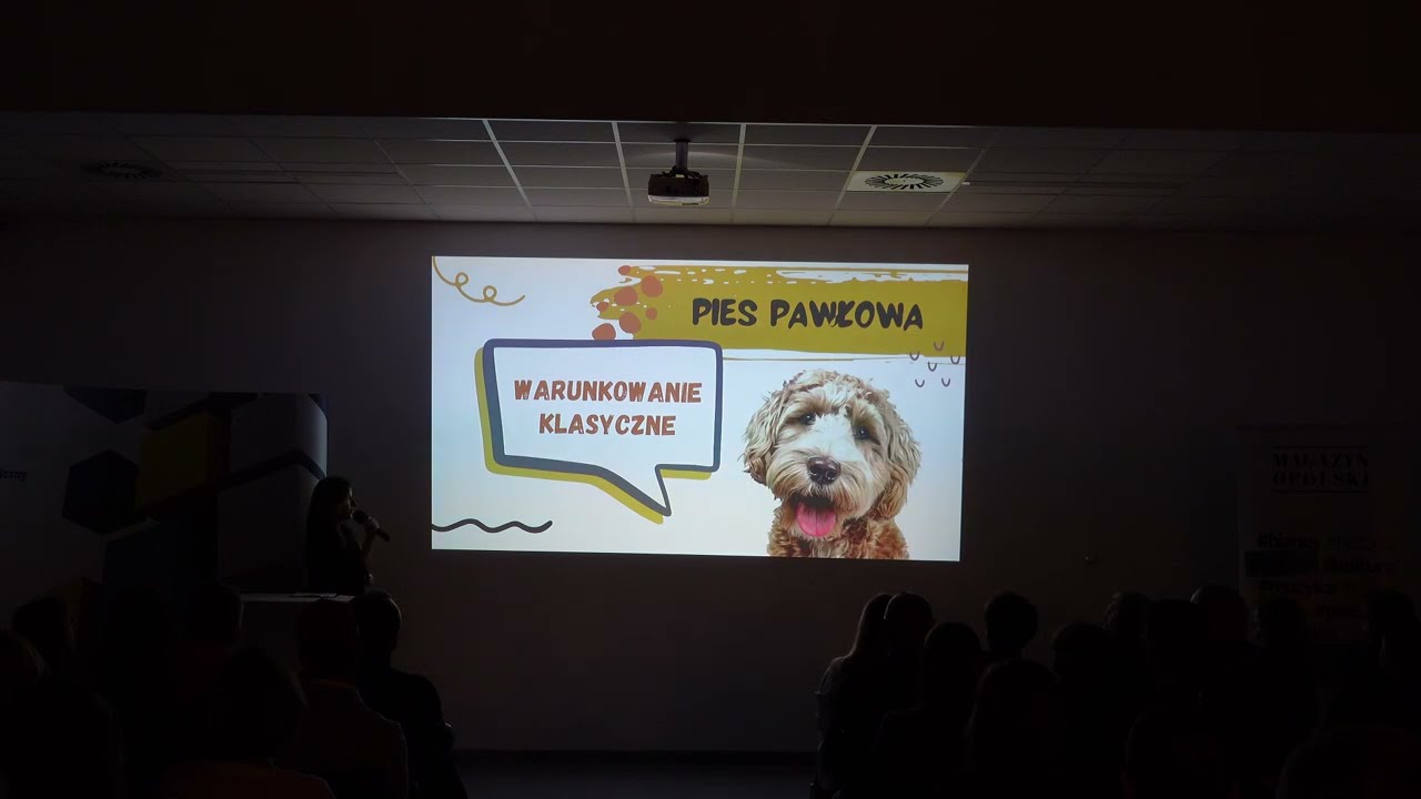 Ada Mazurkiewicz "Nauka jako fundament szkolenia psów" - Pecha Kucha ...